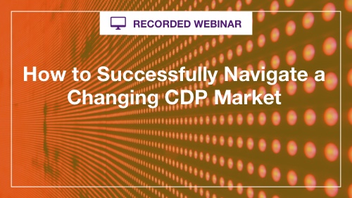 Webinar - How to Successfully Navigate a Changing CDP Landscape | Real Story Group